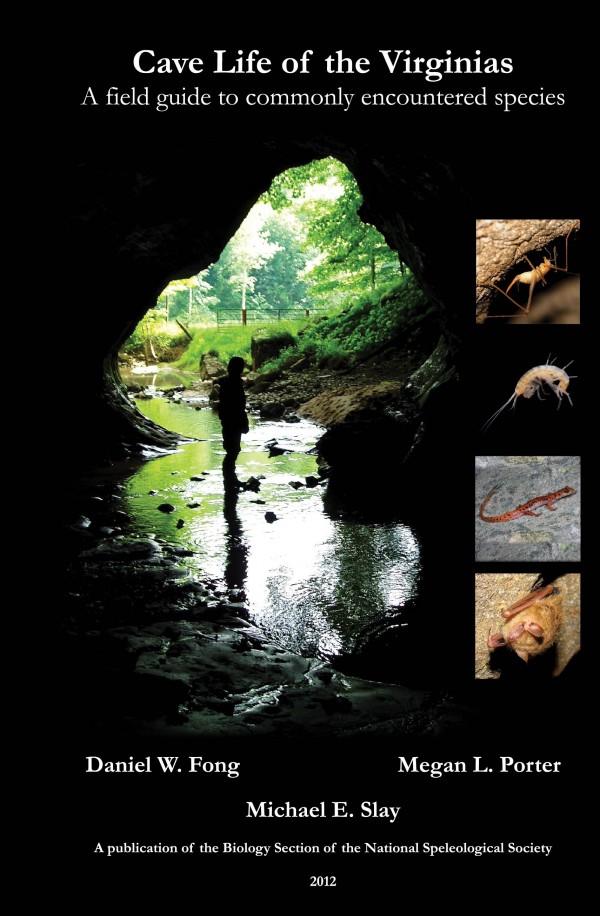 Cave Life Of The Virginias: A field guide to commonly encountered species